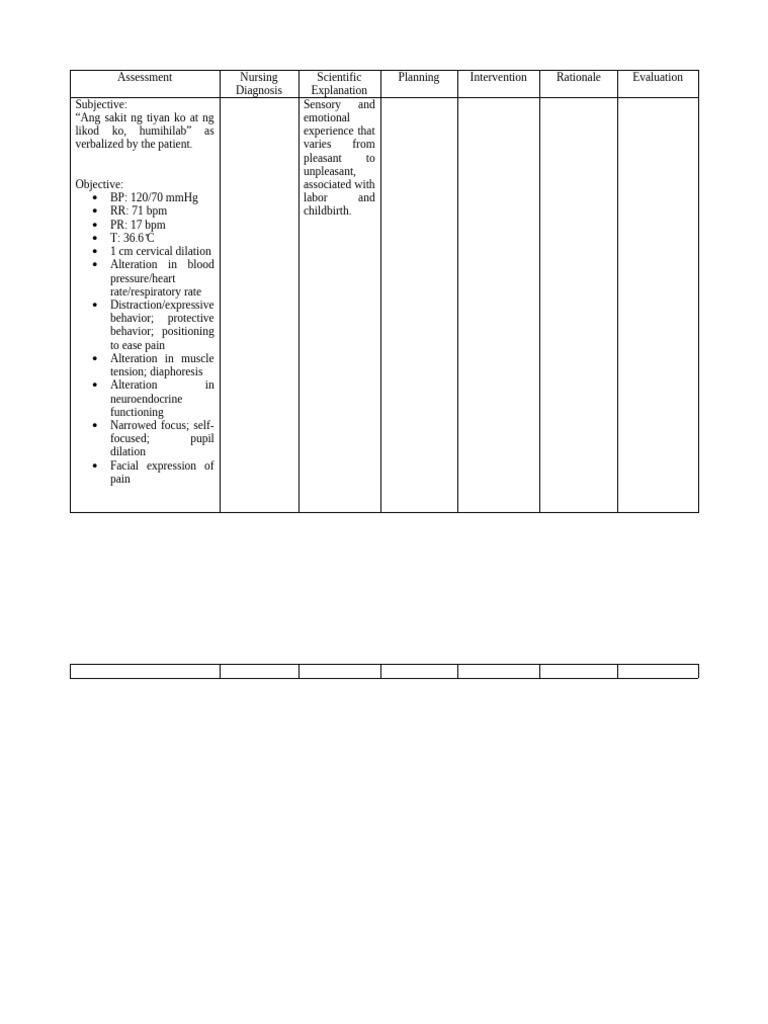 NCP Labor Pain | PDF