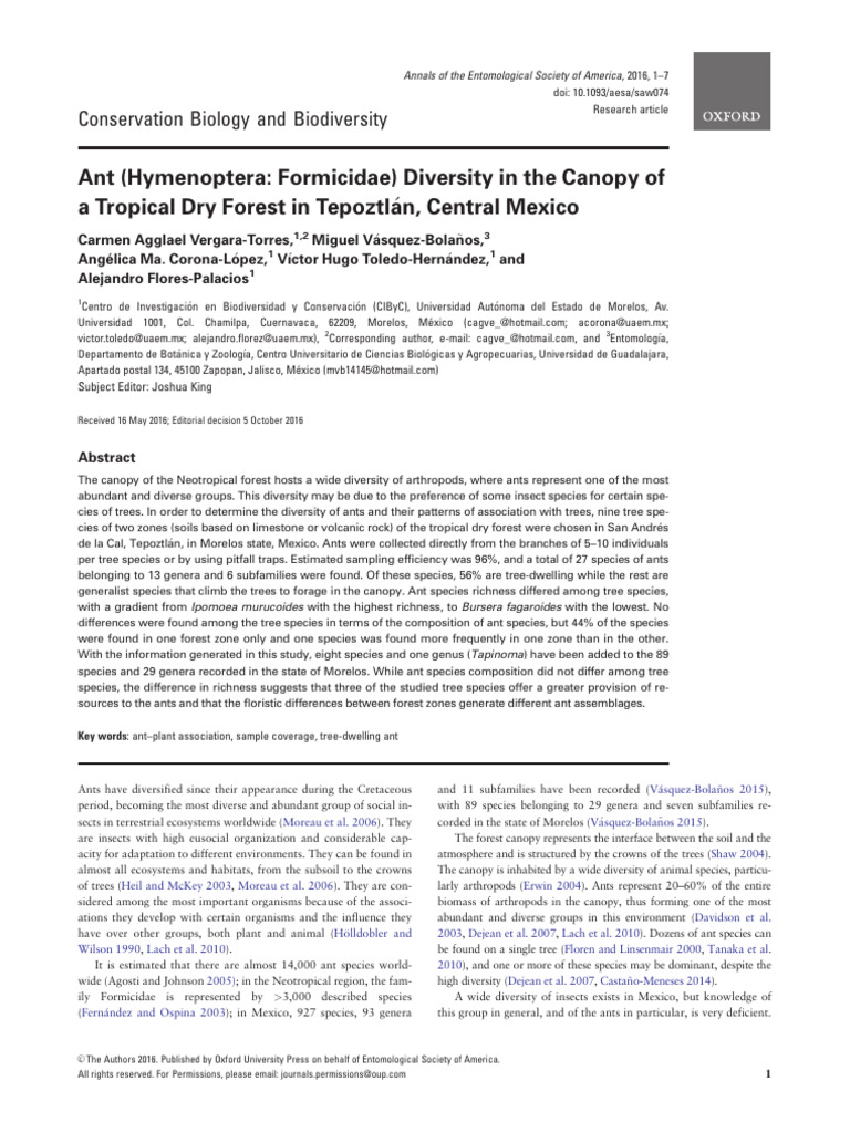 Ant (Hymenoptera Formicidae) DIversity in The Canopy of A Tropical Dry Forest in Tepoztlán ...