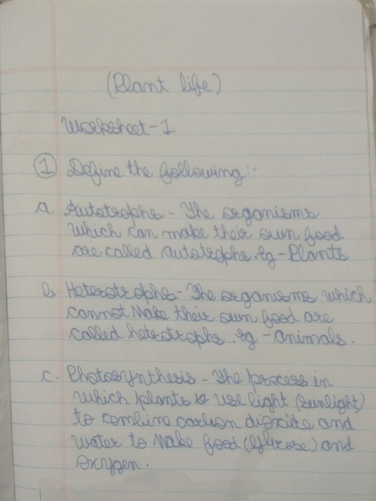 Biology Worksheet of Babita Pandey Class 7B | PDF