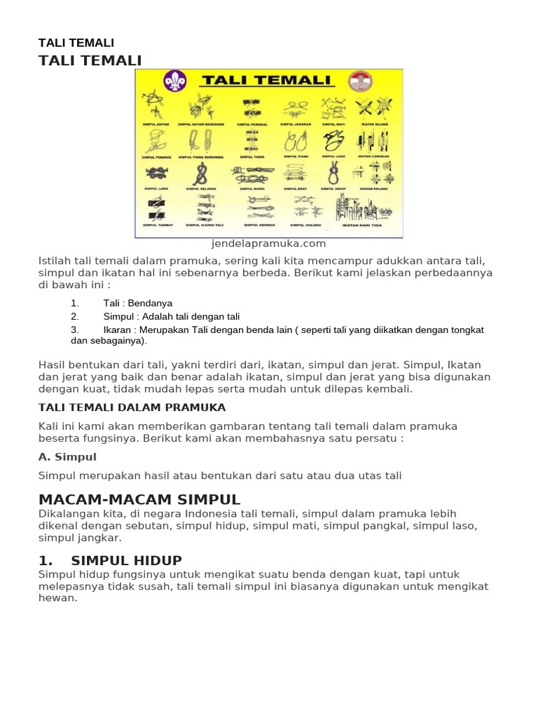 Simpul Rantai dalam Tali Temali Pramuka | PDF