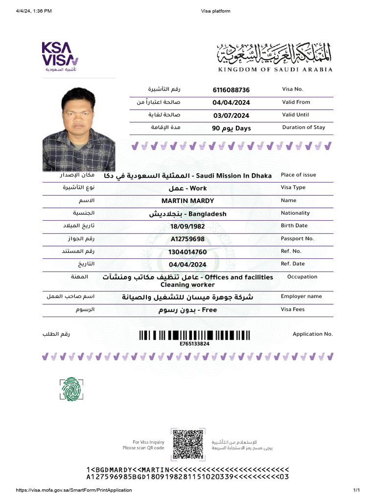 Visa Platform Martin | PDF