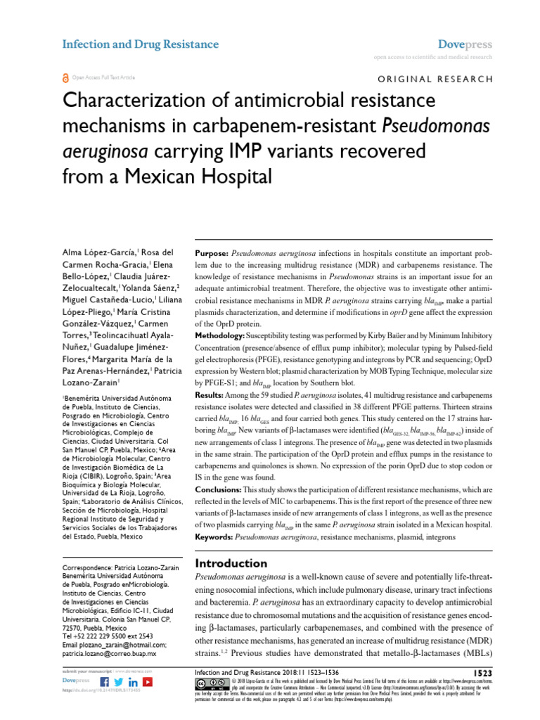5. antimicrobial resistance mechanisms in carbapenem-resistant ...