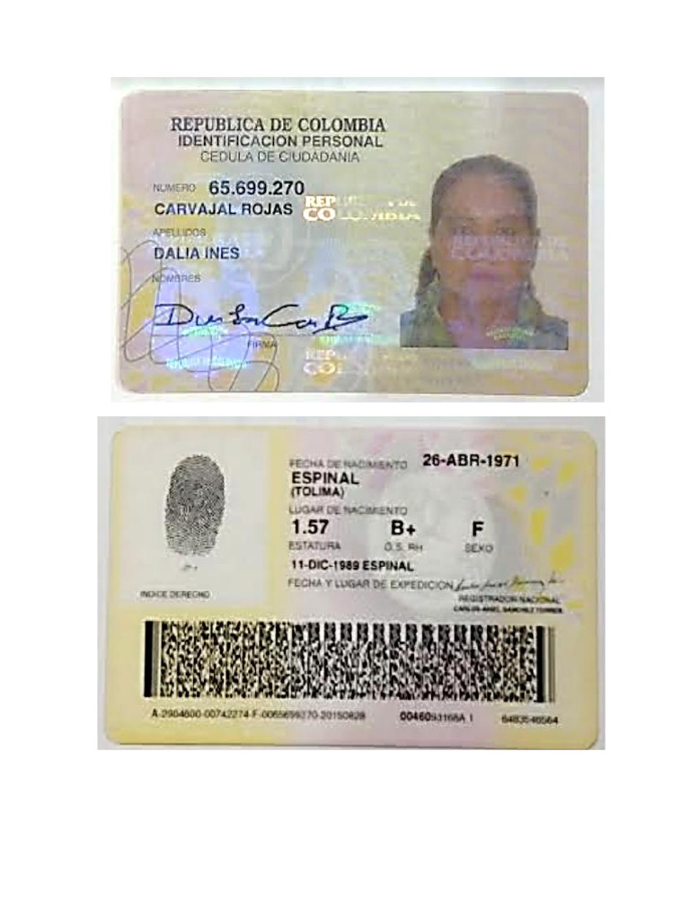 Dalia Ines Carvajal Rojas Judicial | PDF