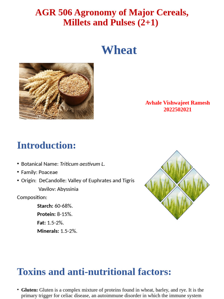AGR 506 Agronomy of Major Cereals, Millets | PDF | Wheat | Sowing