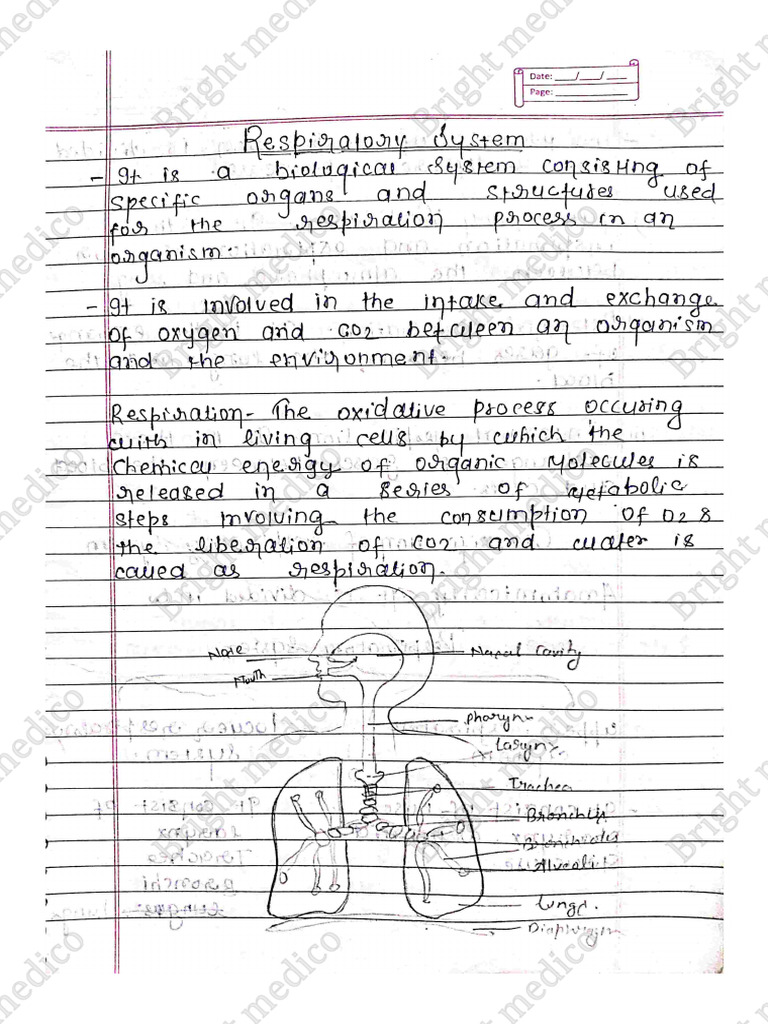 Unit-3 Hap 2nd Semester - Bright Medico | PDF