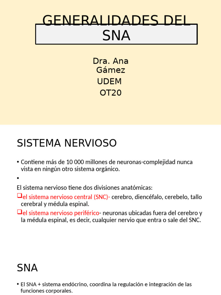 Sna 2 | PDF | Sistema nervioso central | Sistema nervioso