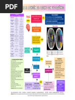 Escalas para Evaluación de EVC | PDF | Cuidado de la salud | Medicina ...