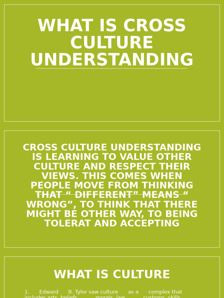 What Is Cross Culture Understanding | PDF