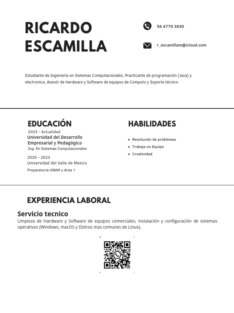 CV Ricardo Escamilla | PDF