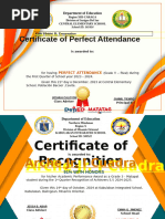 BSP Certificate | PDF | Scouting | Philippines