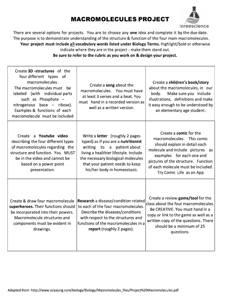 Macromolecules Project | PDF