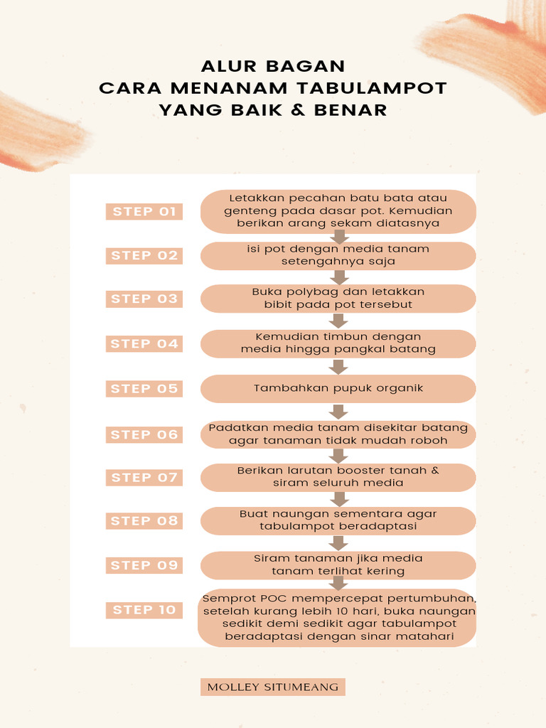 Alur Bagan Cara Menanam Tabulampot Yang Baik & Benar_Molley Situmeang | PDF
