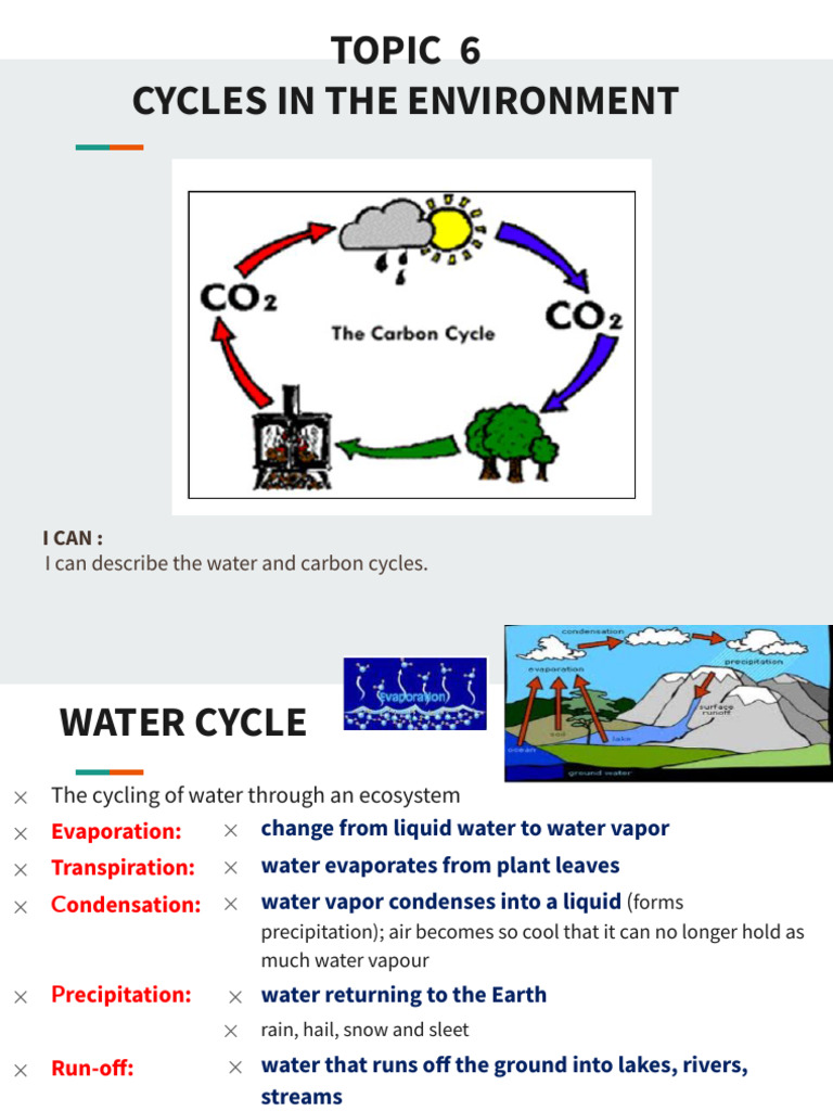 6 - Cycles in The Environment - Yee | PDF | Water | Carbon Cycle