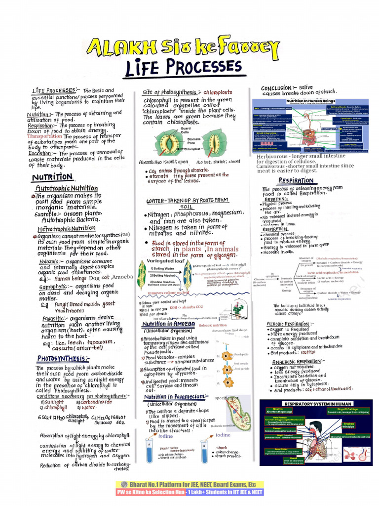 Biology Notes | PDF