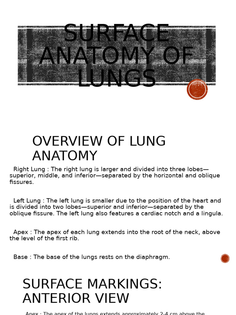 Lung Surface Anatomy Overview | PDF