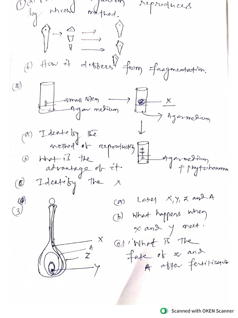 Quick Revision Class 10th Question Bio | PDF