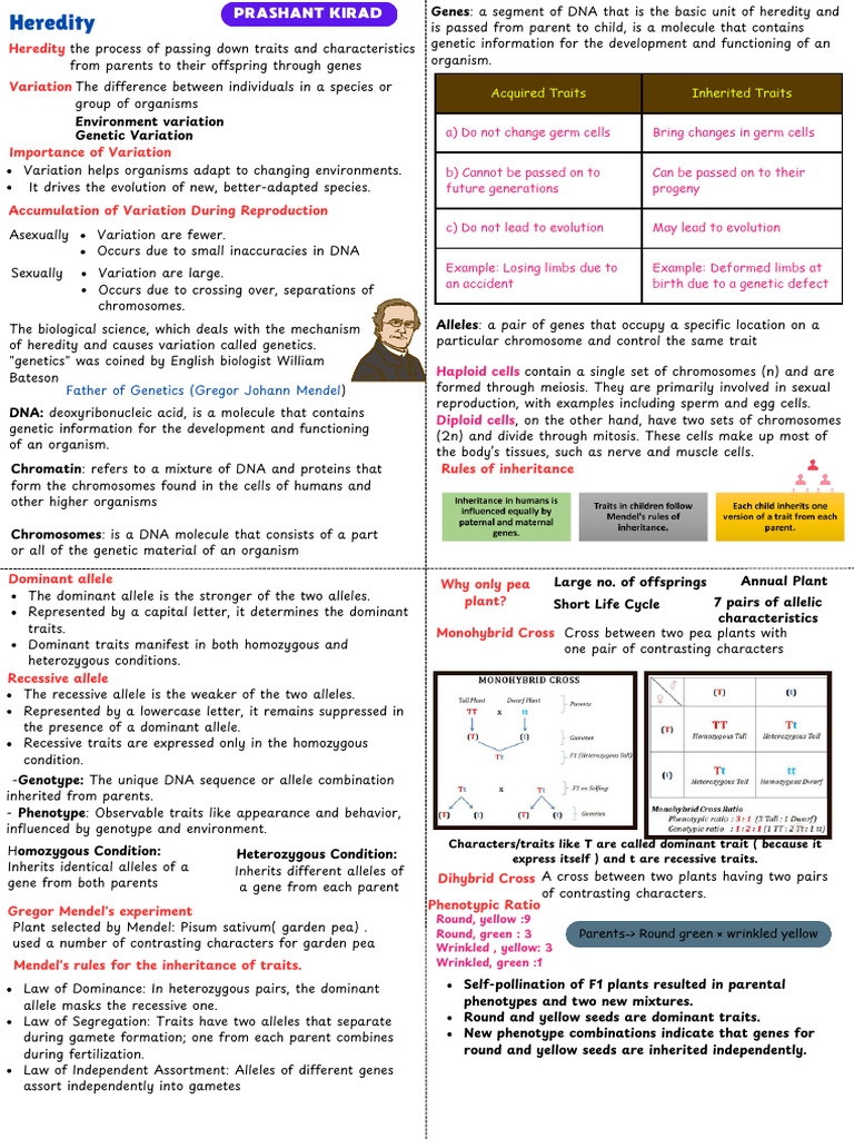 Cheat Notes - Heredity (Prashant Kirad) | PDF | Dominance (Genetics ...