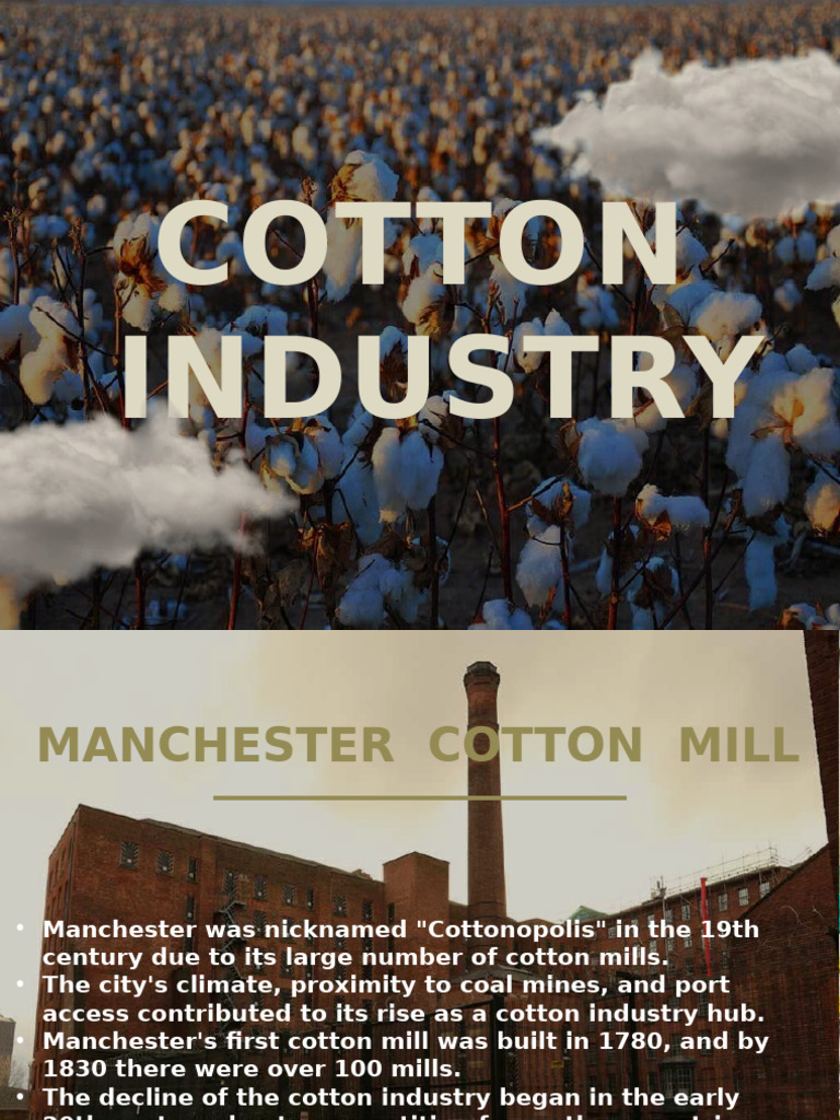 Manchester's Cotton Mill Legacy | PDF