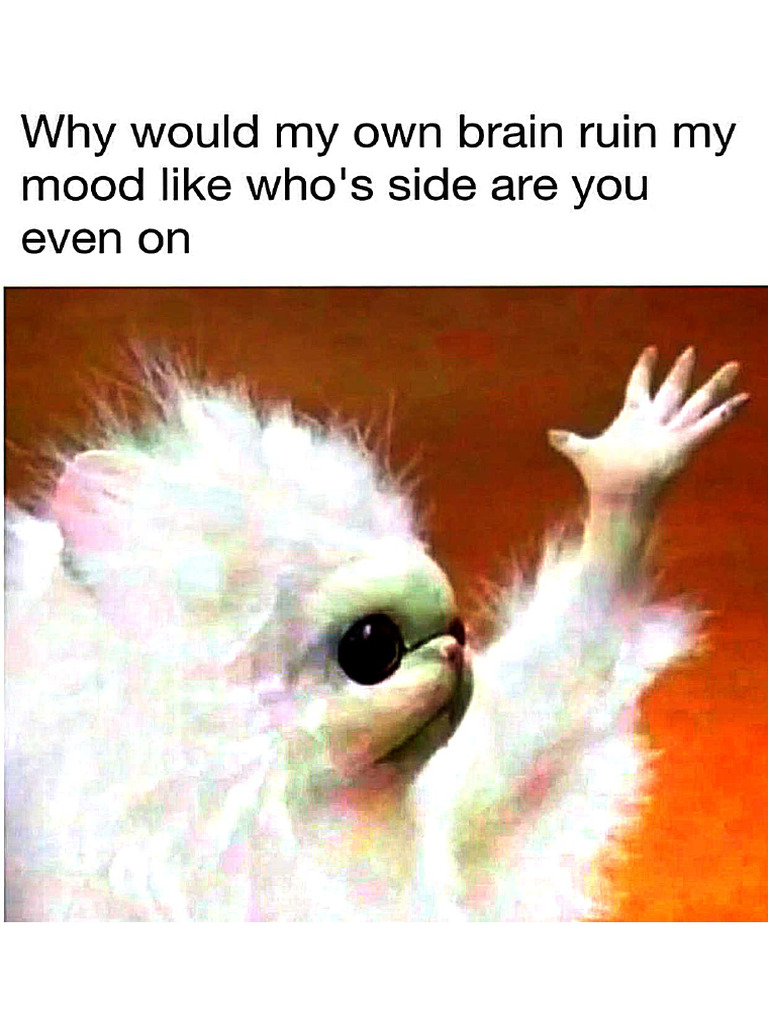 meme3 | PDF