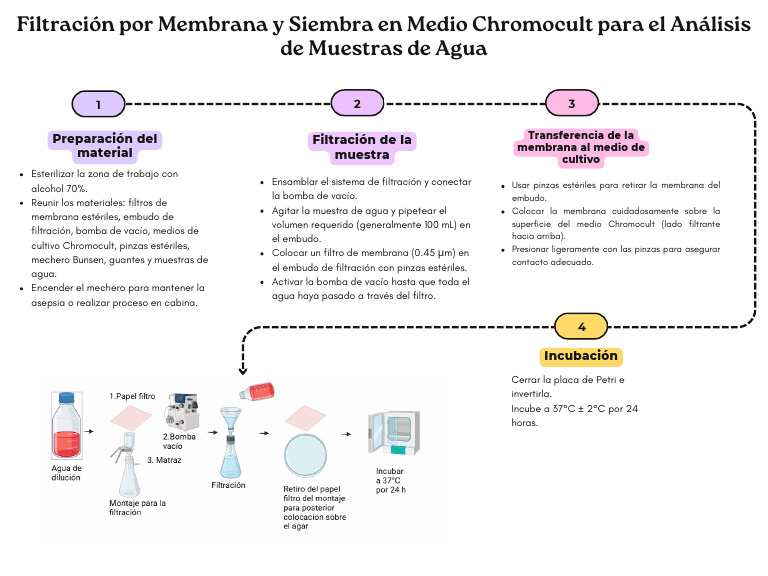 Filtración y Análisis de Agua en Chromocult | PDF | Filtración