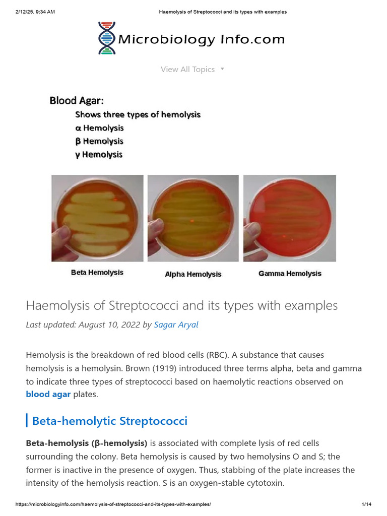 Streptococci Hemolysis Types Explained | PDF | Streptococcus | Microbiology