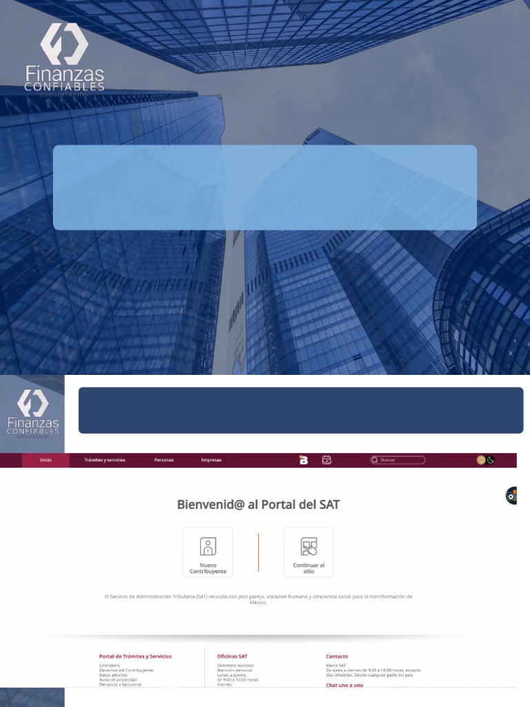 Nuevo Portal Del Sat | PDF
