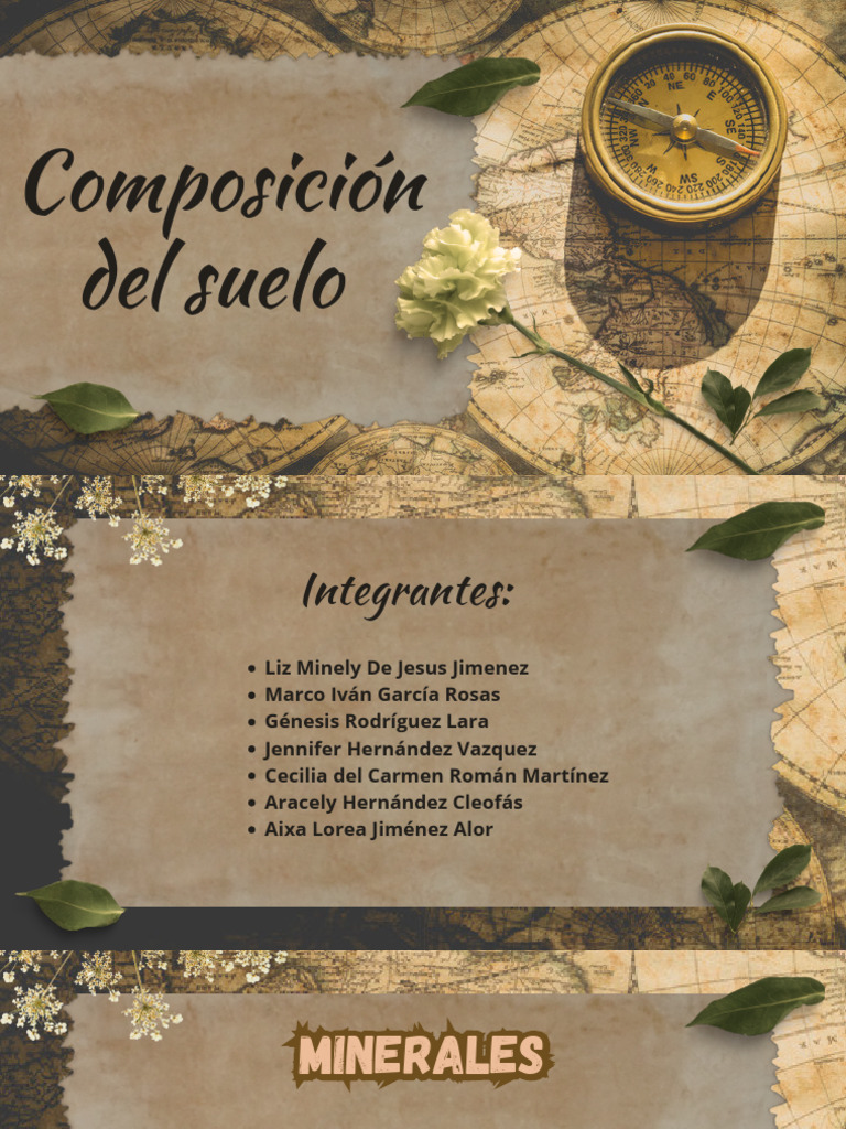 Composición y Función del Suelo | PDF | Suelo | Ciencias de la Tierra