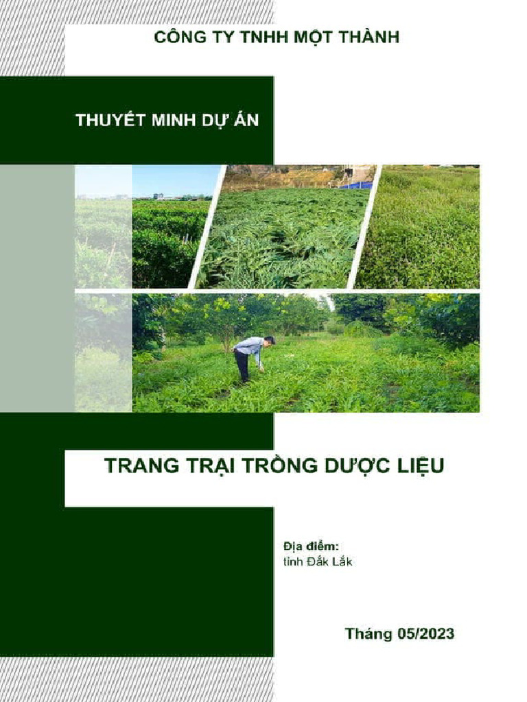 thuyt-minh-d-n-trang-tri-trng-dc-liu-263252985 | PDF