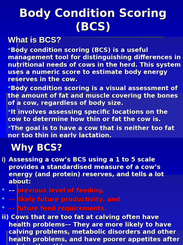 8, scoring of animals-5(1) | PDF | Vertebral Column | Vertebra