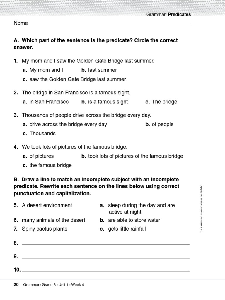 wonders-grammar-reproducibles-grade-3_28 | PDF