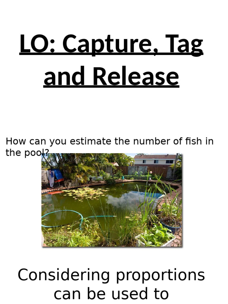 Introduction - Capture Tag and Release | PDF
