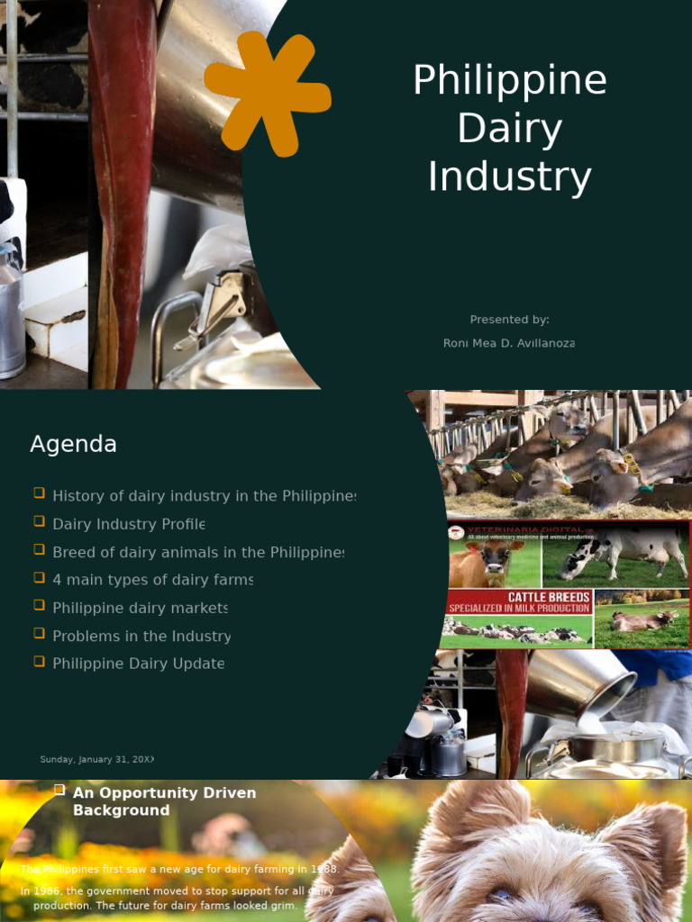 Philippine Dairy Milk Report | PDF | Dairy | Microsoft Power Point