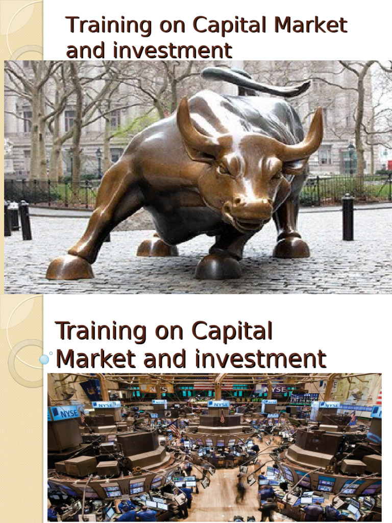 Capital Market Investment Training Guide | PDF | Investing | Stocks