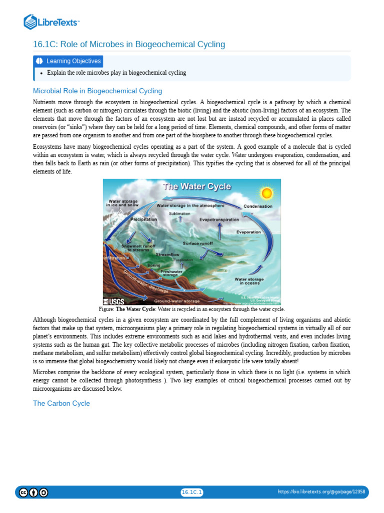 16.1C Role of Microbes in Biogeochemical Cycling | PDF | Cyanobacteria ...