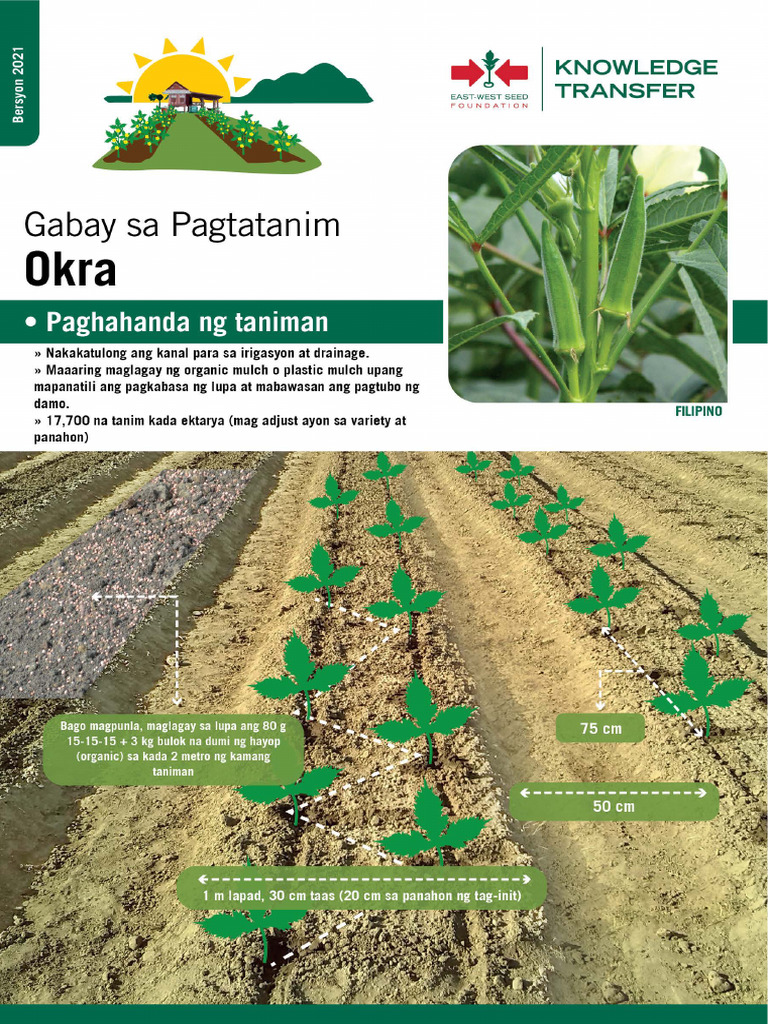 Okra EWS | PDF