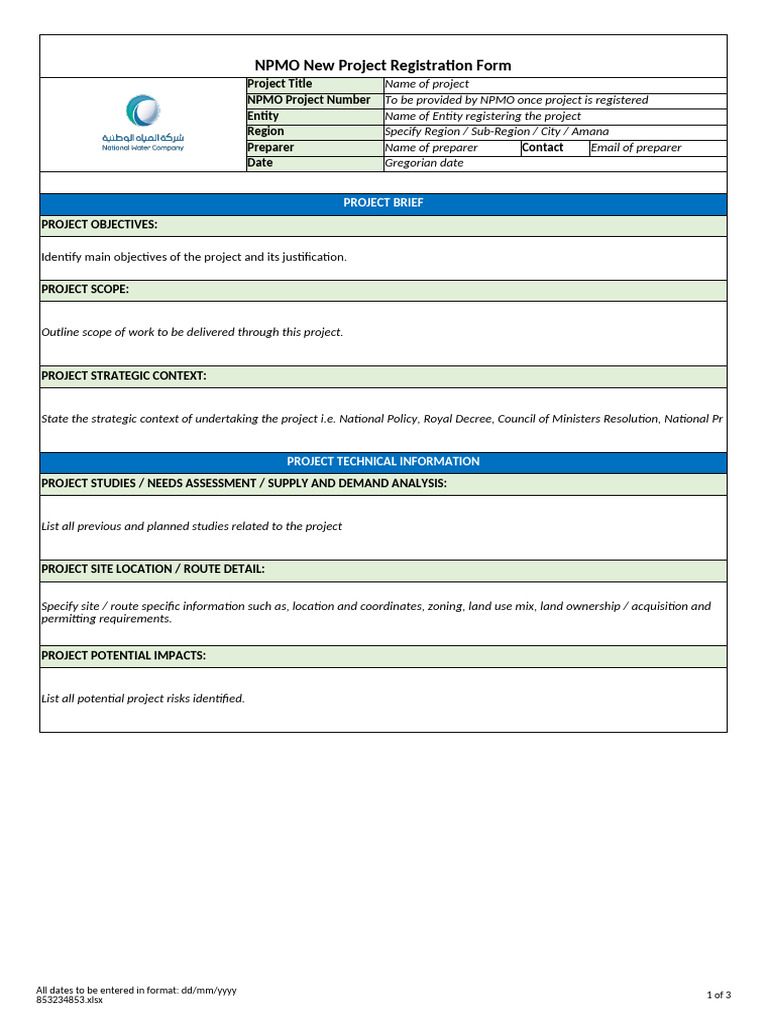 NPMO Project Registration Form | PDF