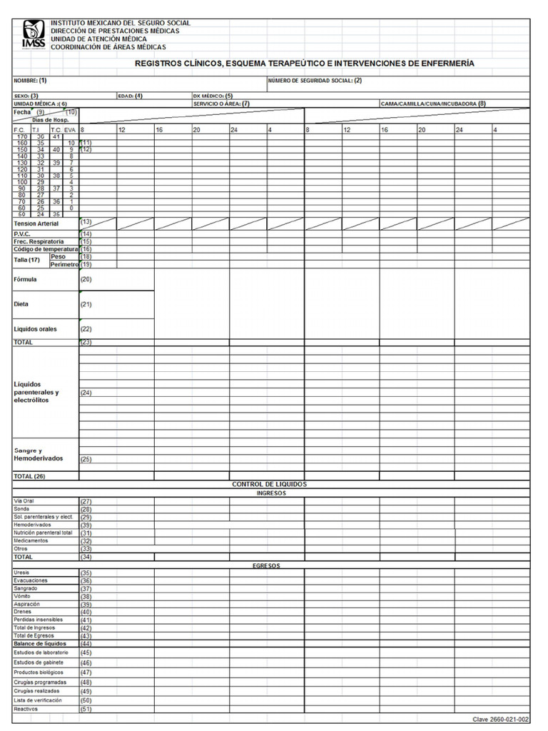 Hoja de Enfermeria Recuperado IMSS | PDF