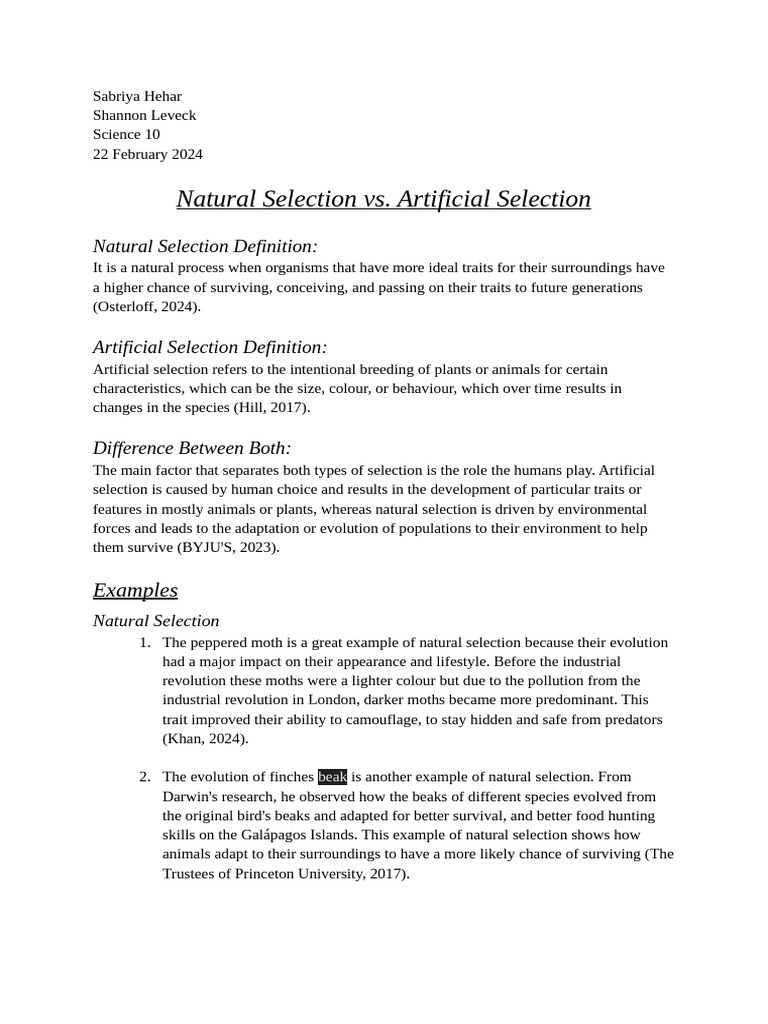 Natural vs. Artificial Selection Explained | PDF | Natural Selection ...