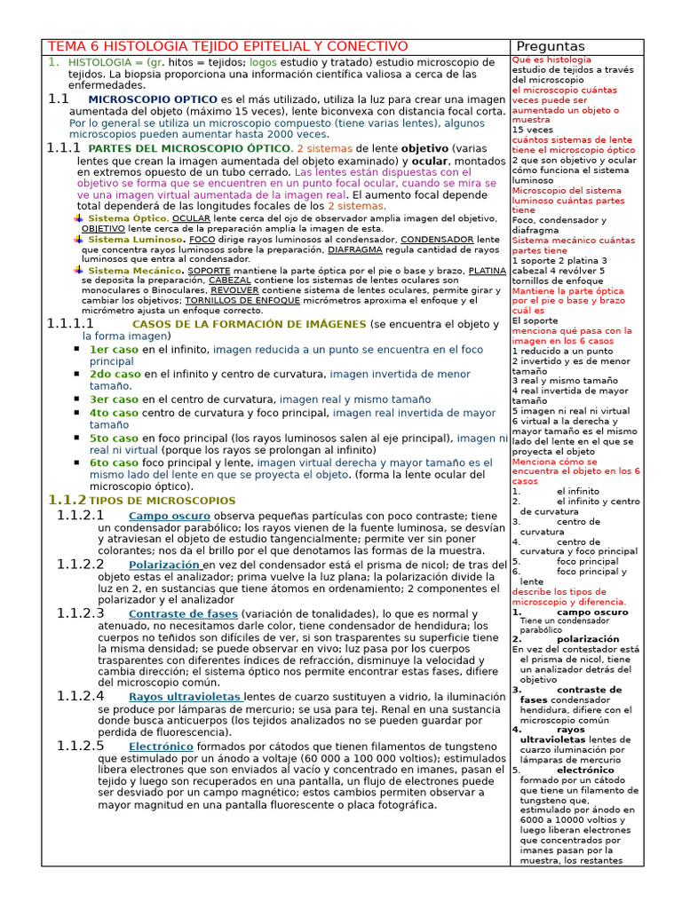 Observación del Tejido Epitelial al Microscopio | PDF | Epitelio ...