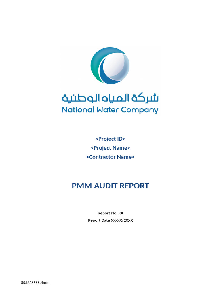 PMF-006-GOV-029 - 02 PMM Audit Report | PDF | Audit | Project Management
