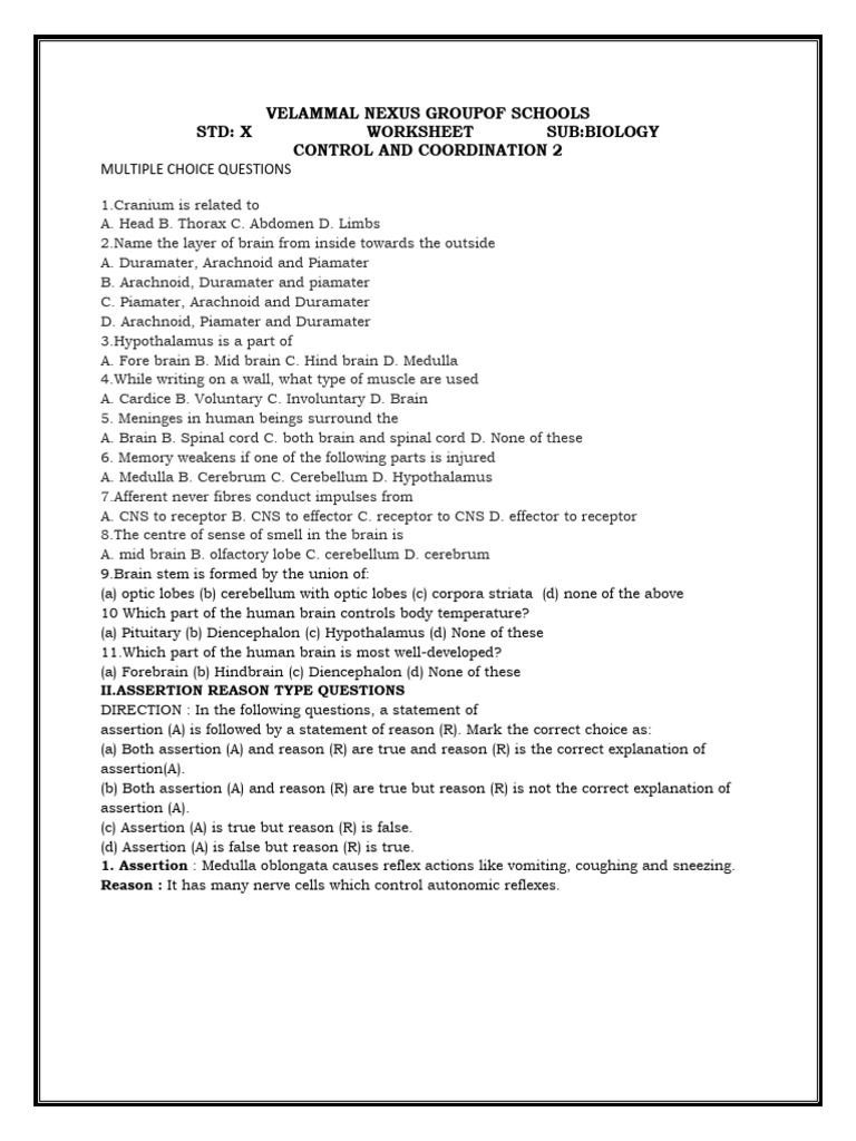Worksheet-Control and Coordination 2 | PDF | Brain | Neuron