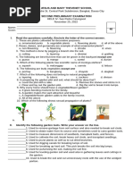 Gardening Crossword | PDF | Mulch | Botany