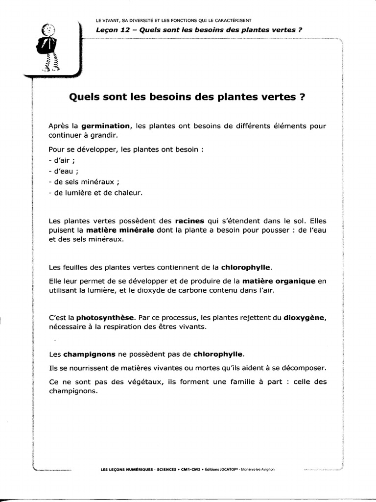 Vivant-12-Quels Sont Les Besoins Des Plantes Vertes | PDF