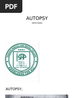 Format - Proforma For Inquest Report Under Section 196 BNSS, 2023 - 0 | PDF