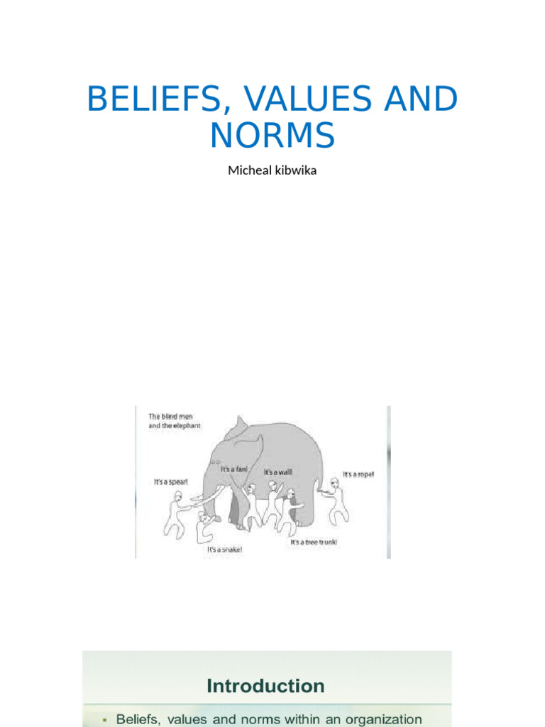 Beliefs, Values and Norms | PDF