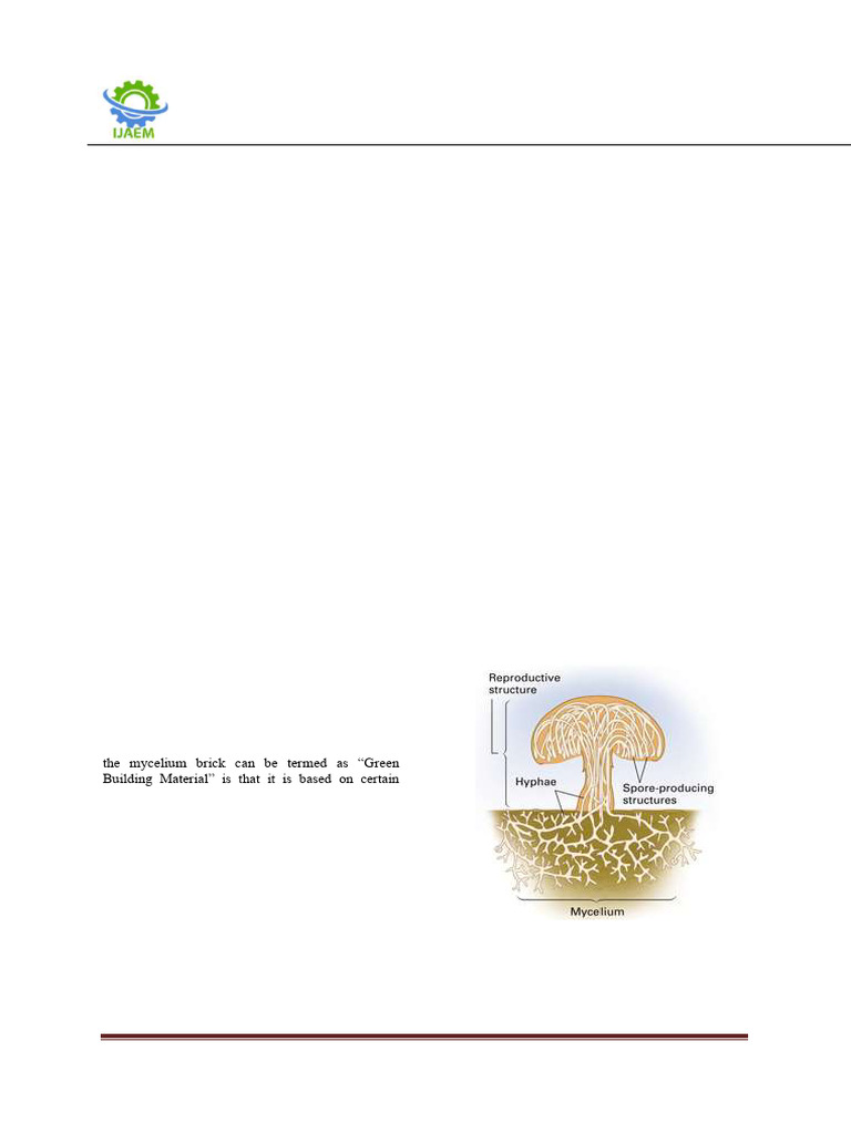 Mycelium Bricks: Sustainable Building Material | PDF | Fungus | Mushroom