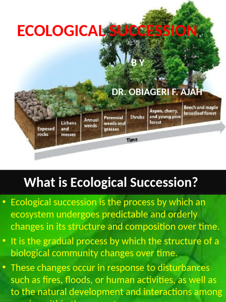 Ecological Succession in Plants | PDF | Soil | Ecosystem