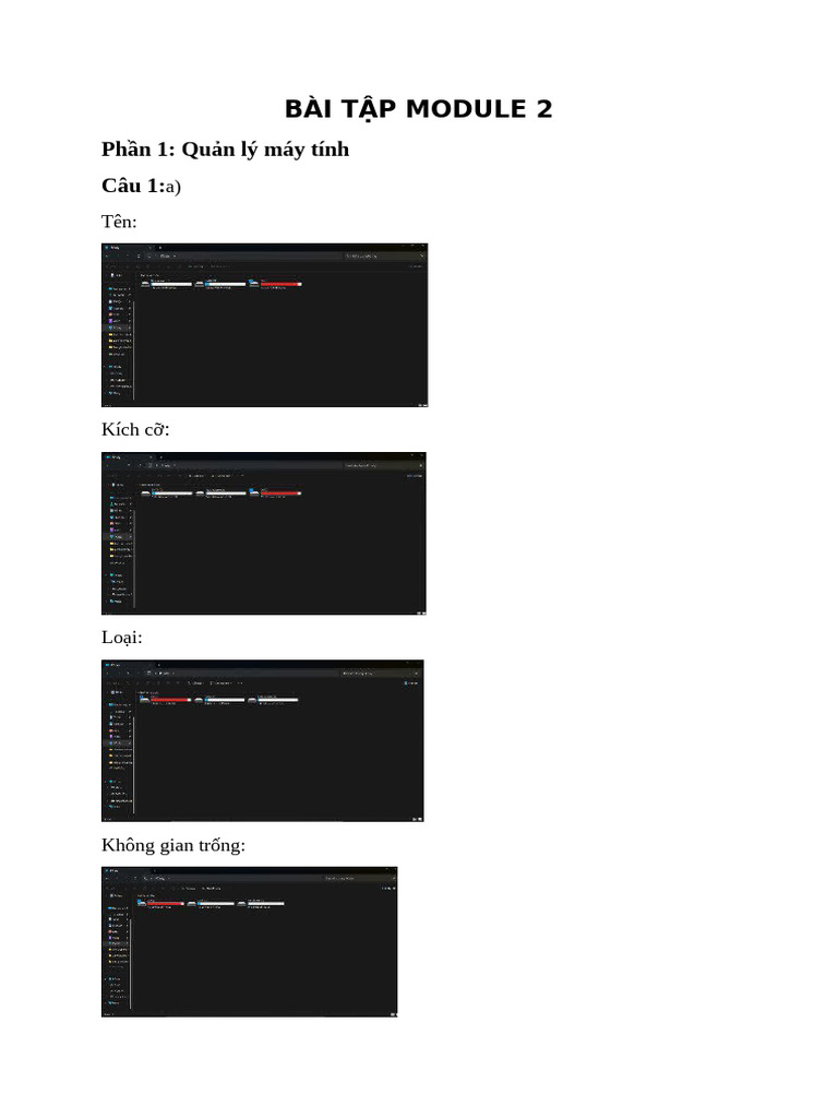 066205000948-VoVanHieu-Module2 | PDF