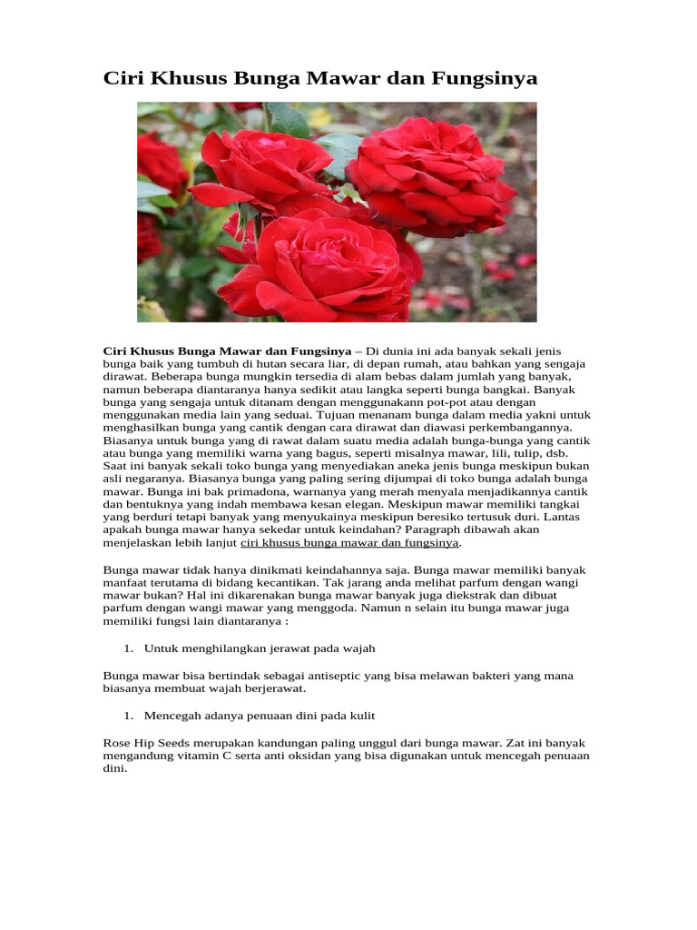 Ciri Khusus Bunga Mawar Dan Fungsinya | PDF