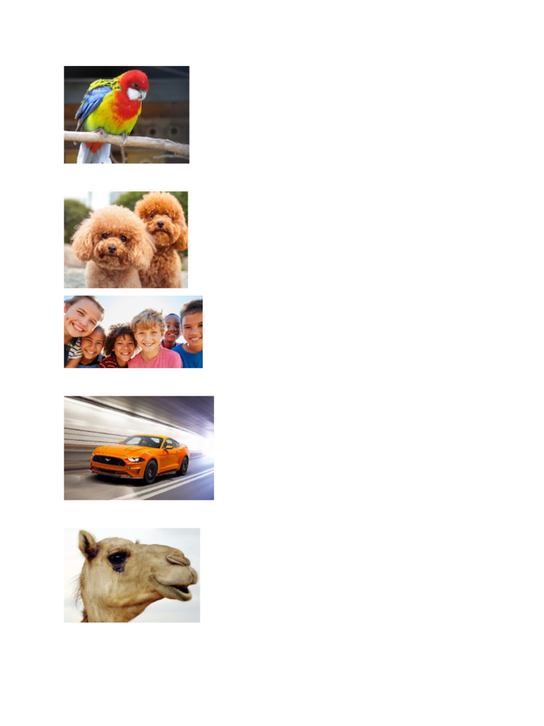 Sunday - Adjectives Picture Prompts | PDF
